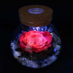 Top 5 Rose Flower Lamp Reviews - Brand Review