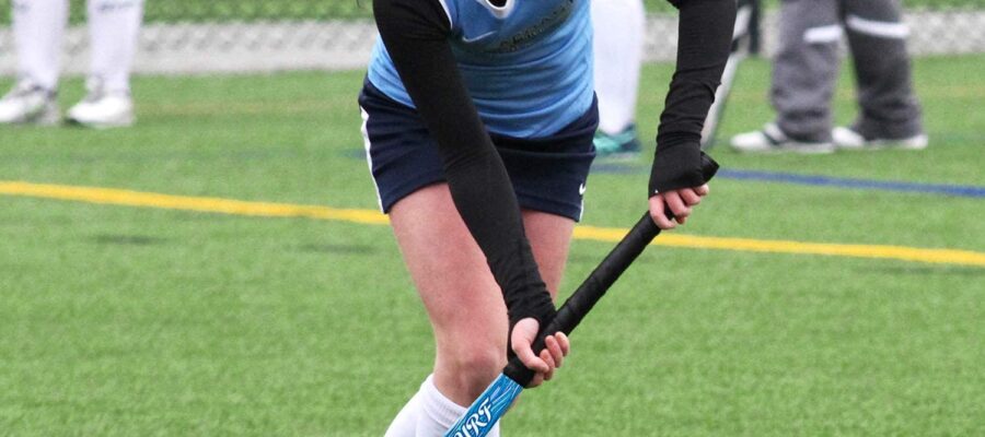 Top 10 Best Field Hockey Sticks (2020 Reviews) - Brand Review