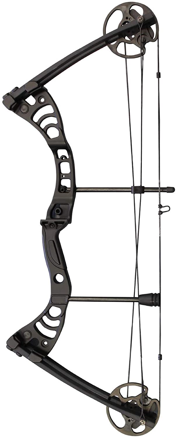 Top 10 Best Compound Bows Under 200 - Brand Review